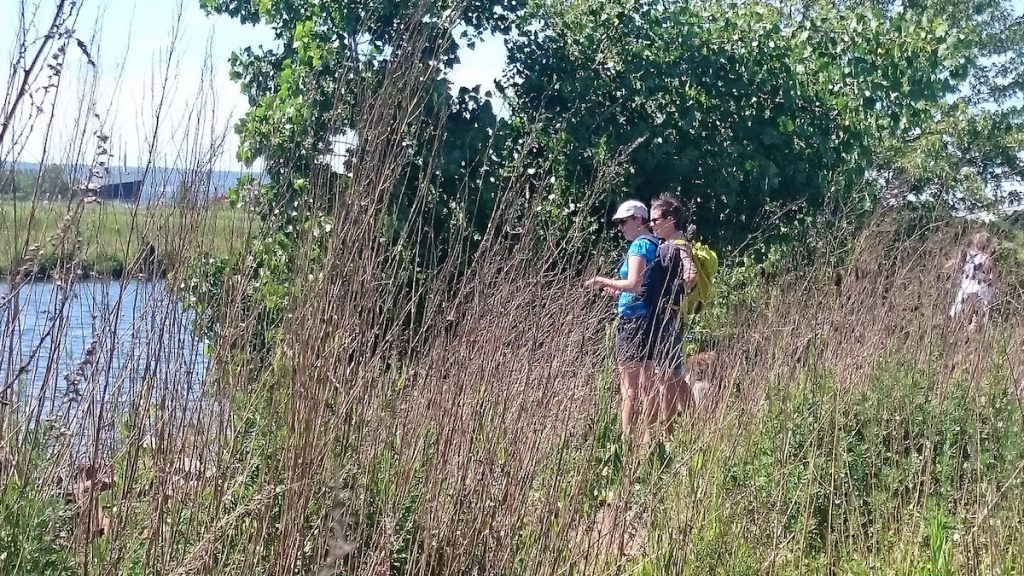 Walk to Windermere Basin with Astrida Neimanis & HPU – WalkingLab