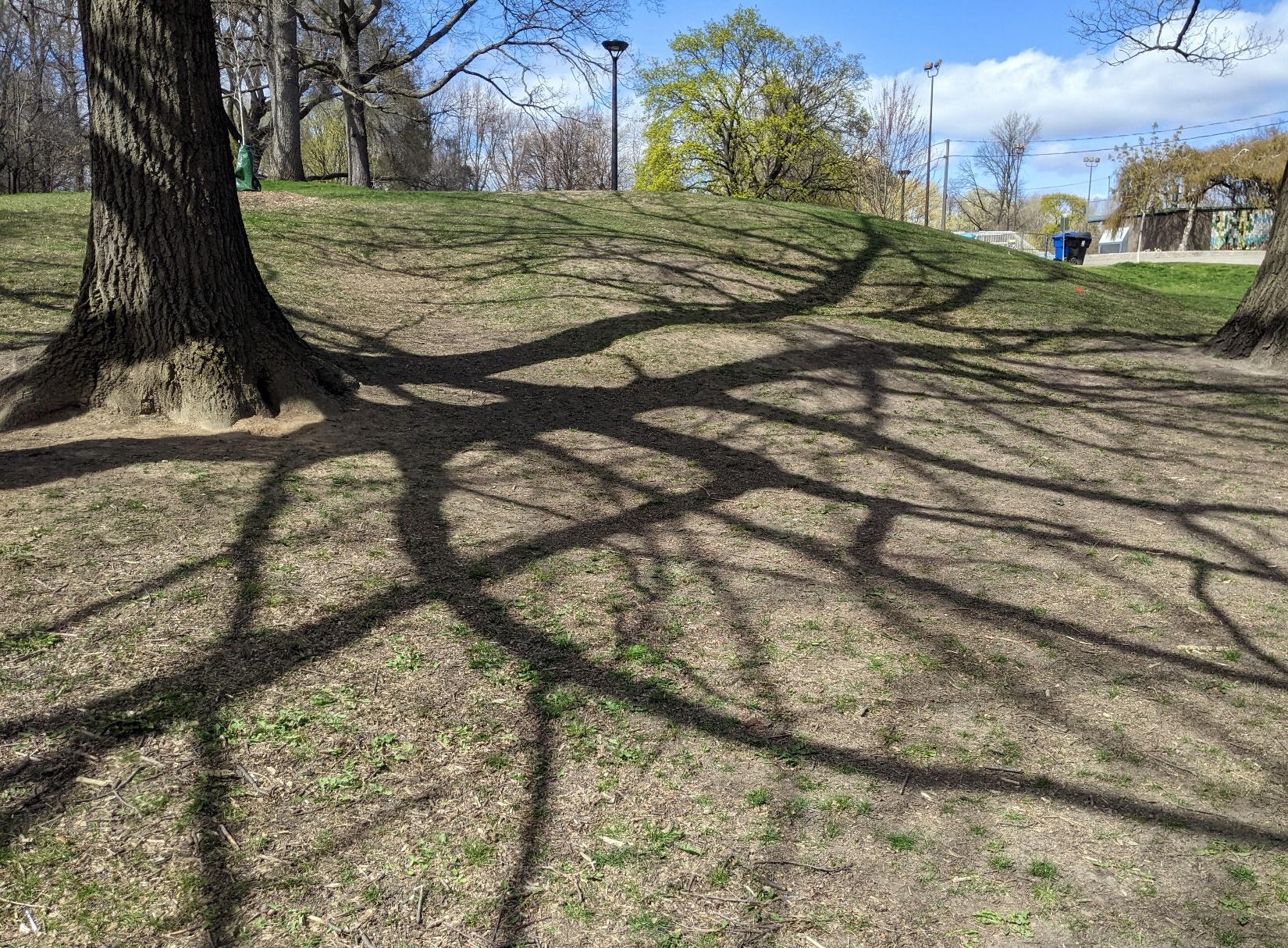 Glen Farrelly, Jennifer Wiens, and Nora Wiens Farrelly – WalkingLab