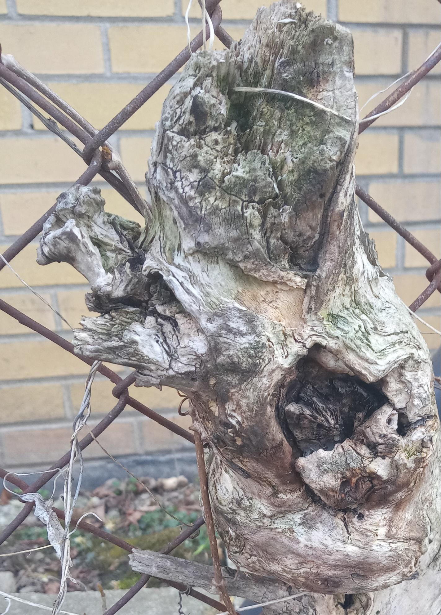 Glen Farrelly, Jennifer Wiens, and Nora Wiens Farrelly – WalkingLab